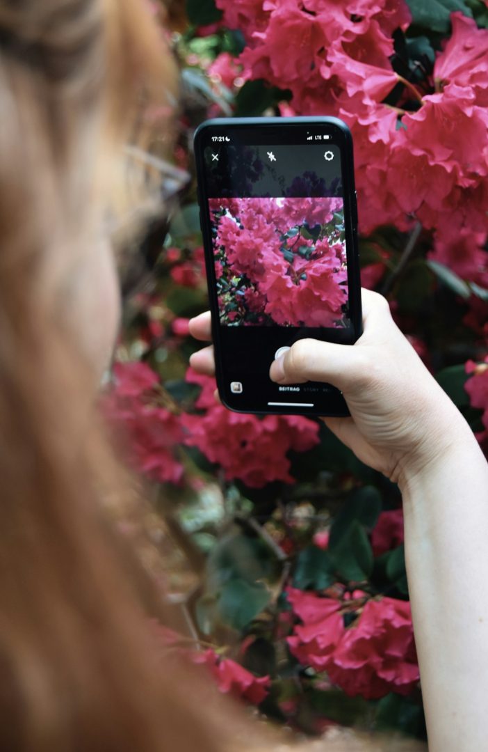Découvrez Pikdo : la visionneuse Instagram sans compte